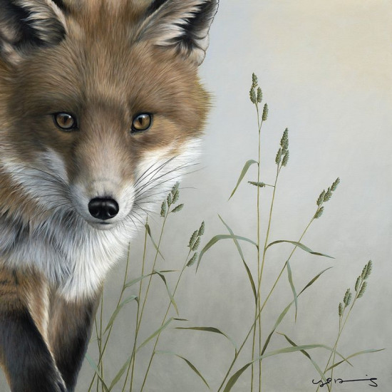 Fox - British Wildlife Series by Nigel Hemming