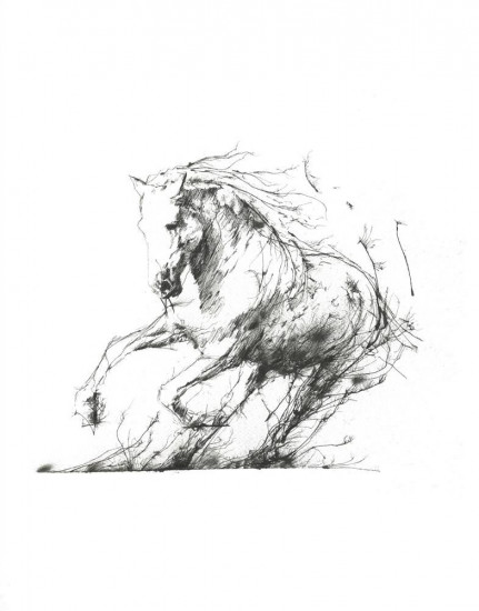 Freedom by Scott Tetlow