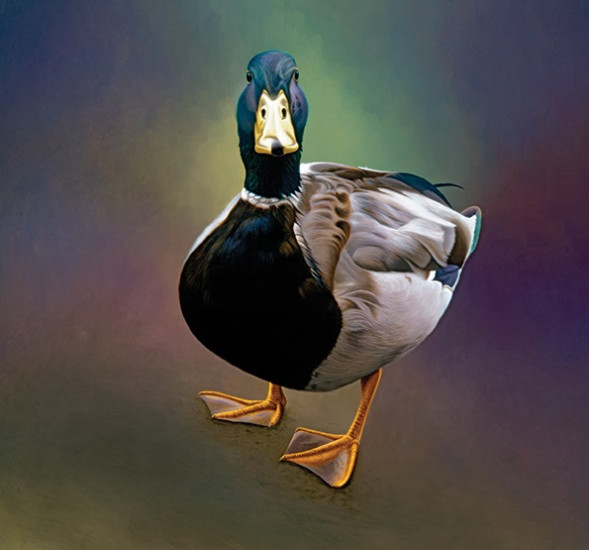 Just Charlie by Paul James