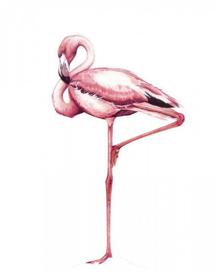 Pretty In Pink by Gary Hodges