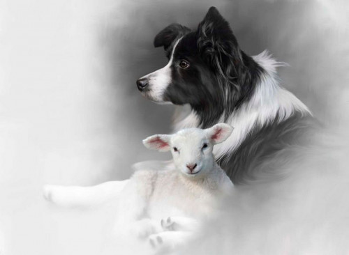 Shepherds Delight - Original Edition by Nigel Hemming