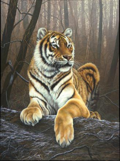 Siberian Grandeur by Paul James