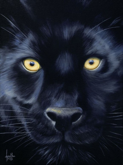 Spirit Of The Forest by Jonathan Truss