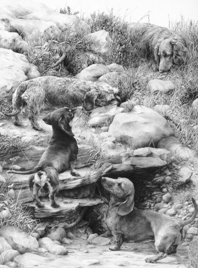 The Warreners by Mike Sibley