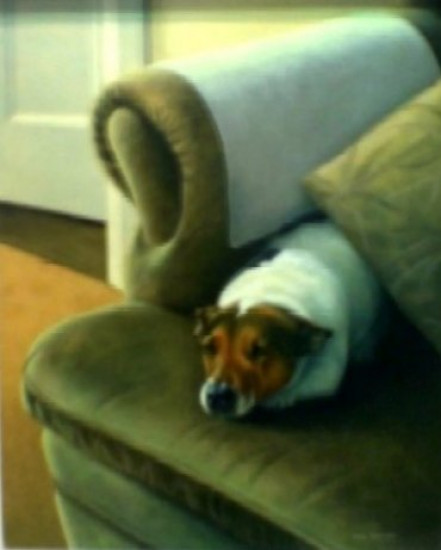 On The Couch - Jack Russell - Original - Framed by Nigel Hemming