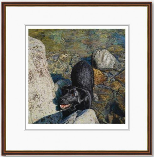 Ronnie by Steven Townsend