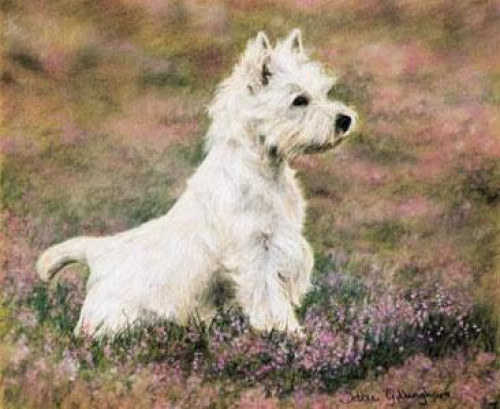Classic Pose - Paws For Thought by Debbie Gillingham