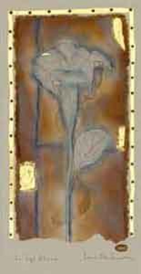 Le Lys Blanc (Lilly) by Kevin Blackham