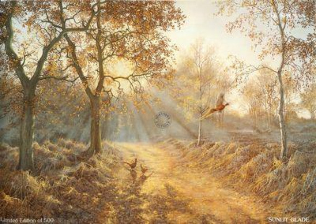 Sunlit Glade by Neil Spilman