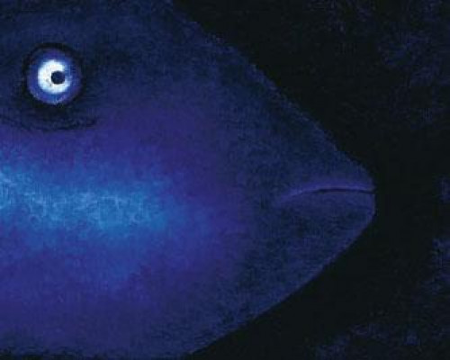 Blue Loner by Nicola Read