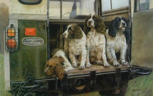 Four By Four (Springer Spaniels) by Nigel Hemming