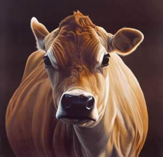 Posh - Cow by Paul James