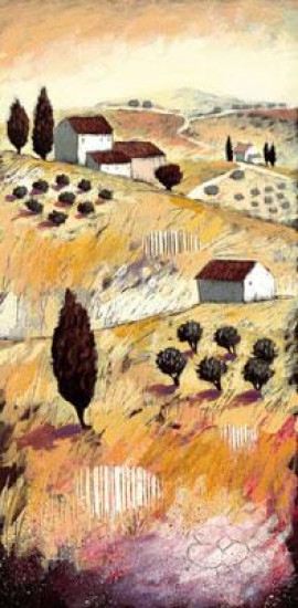 Catalina IV by Richard Pargeter