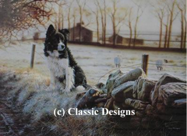 Early Start by Steven Townsend