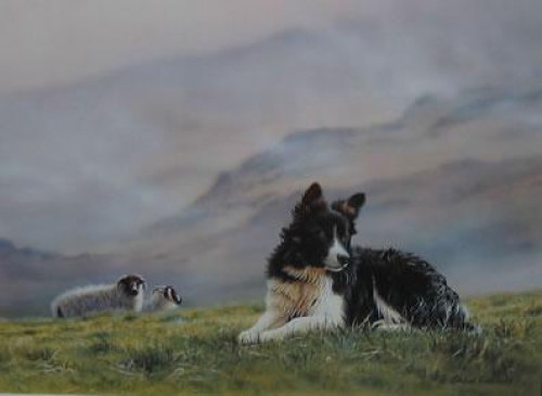 Waiting Brief by Steven Townsend