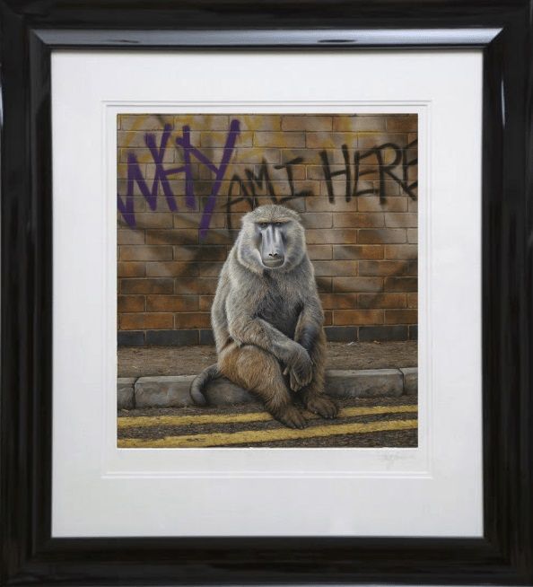 Benjamin by Paul James