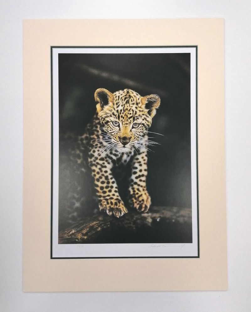 First Adventure by Steven Townsend