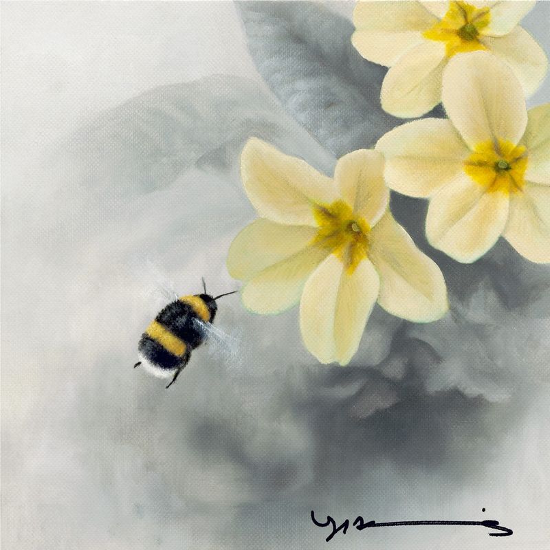 Primrose - White Tail Bee - Original by Nigel Hemming