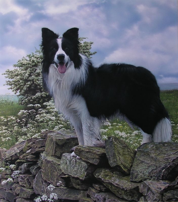 Trooper by Steven Townsend