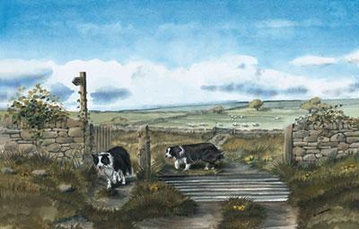 Coming Home by Graham Chambers