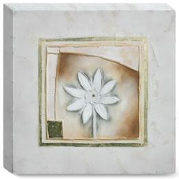 Petit Fleur I - Box Canvas by Kevin Blackham